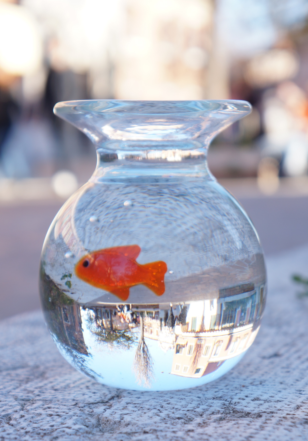 Unique Goldfish Bowls